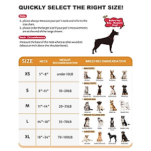 Dog Cone Collar for Small Medium Large Dogs for After Surgery, Pet Inflatable Neck Donut Collar Soft Protective Recovery Cone for Dogs and Cats - Alternative E Collar Does Not Block Vision - Green,L