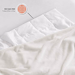 Sleep Philosophy Plush Weighted Ultra Soft and Cozy Warm Calming Heavy Blankets with Poly and Beads Filling, Zipper Removable Cover for Adults, 60x70-18lbs, Ivory