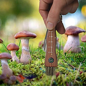 CABUGE Mushroom Knife with Brush & Sharpener, Folding Pocket knife with Wood Handle & Clip for Men Women, Folding Knives for Outdoor Camping