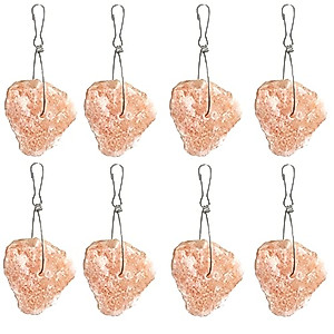 PINVNBY Rabbit Himalayan Salt Lick Block,Small Animals Chew Toys Rabbits Pink Natural Mineral Salts Blocks for Horses Bunny(8 Pcs)