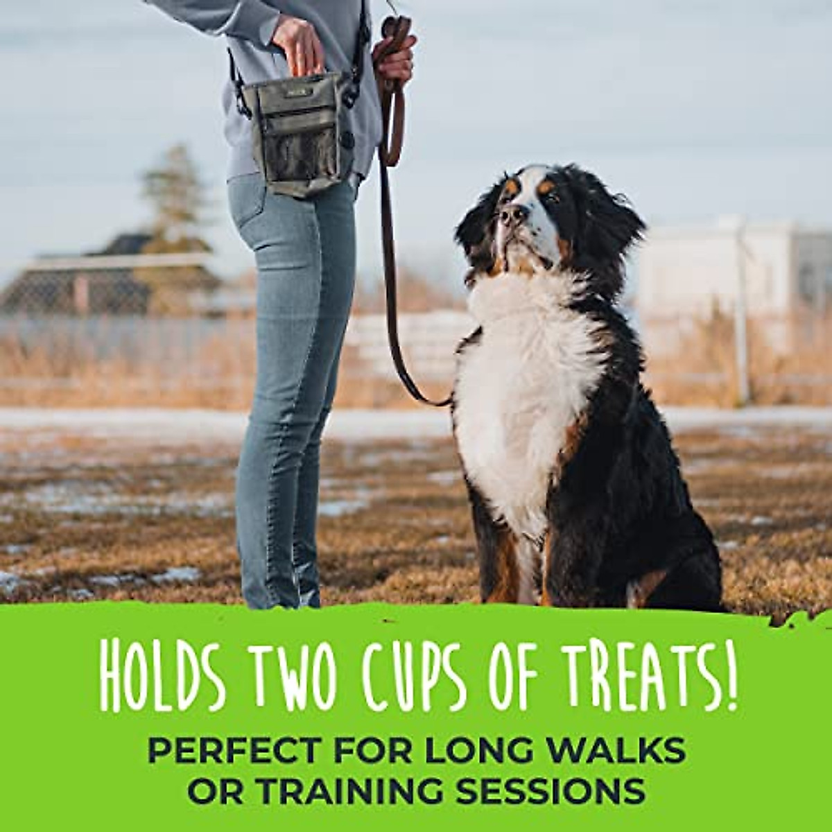 Mighty Paw Dog Treat Pouch 2.0 | Pet Training Hands-Free Snack Bag w/Strap. Holds 2 Cups Kibble, Poop Bags, Phone & Keys. Magnetic Clasp & Waist Belt Clip. Includes 1 Roll of Poop Bags (Green/Grey)