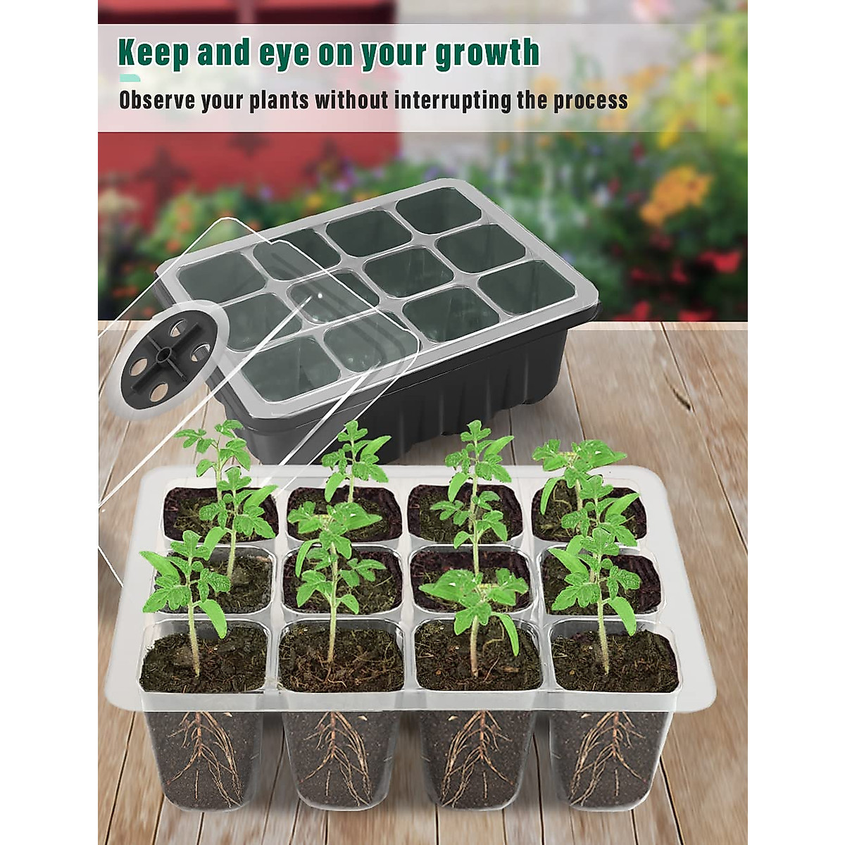 14 Packs Seed Starter Tray, 168 Cells Total Tray, Seed Starting Kit with Adjustable Humidity Dome and Base Plant Starter Kit Mini Greenhouse Germination Kit with 2 Garden Tools and 20 Plant Labels