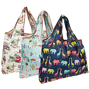 allydrew Large Foldable Tote Nylon Reusable Grocery Bag, 3 Pack, Expedition