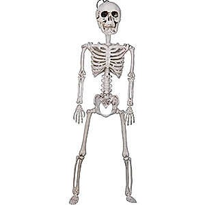 JOYIN 2 Halloween Decoration 24” Pose-N-Stay Full Body Skeleton Plastic Bone with Posable Joints for Pose Skeleton Indoor/Outdoor Spooky Scene Photo Prop Party Favors Décor