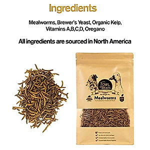 Fowl Treats Naturally Fortified Mealworms - Protein Rich Supplements Suitable for Hens and Ducks, Contains USA Grown Ingredients – Helps with Bone Strength, Feathers & Molt – 8oz