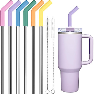 Tomorotec 6-Pack Macaron Colors Silicone Tip Stainless Steel Straws for 40oz Stanley Tumblers with 2 Cleaning Brushes, 12" Long BPA-Free Healthy & Safe for Outdoor & Home Use, Enhances Drink Enjoyment