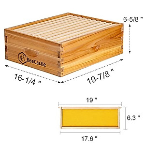 BeeCastle 10 Frame Medium Super Bee Hive Box, Langstroth Honey Bee Hive Dipped in 100% Beeswax Include Beehive Frames and Wax Foundations (Unassembled)