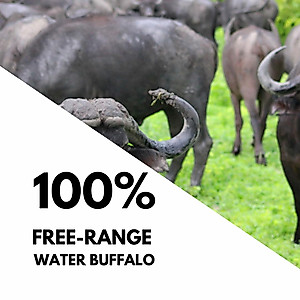 WhiteTail Naturals - Water Buffalo Horns for Dogs (Monster XX-L) All-Natural Dog Bone - Long Lasting Chew Toy for Aggressive Chewers and Teething Puppies