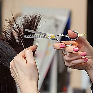 Equinox International, Professional Hair Scissors, Japanese Stainless Steel-Barber Hair Cutting Texturizing Thinning Razor Edge Series Teeth Shears for Men/Women/Kids/Salon & Home-6.5" Overall Length