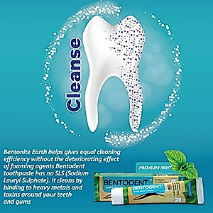 Bentodent Natural Toothpaste for Family Including Kids (Premium Mint)