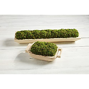 Mud Pie Preserved Moss Paulownia Tray, Natural, 5 3/4" x 25 3/4"