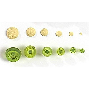 JEM Daisy Centre Stamp, Cake Decorating, Set of 6 Fondant Cutters