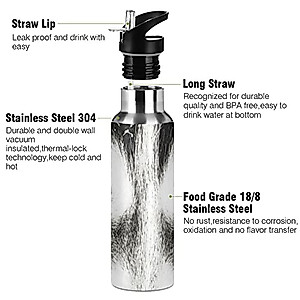 Oarencol Dog Blue Eyes Huskie Animal Water Bottle Stainless Steel Vacuum Insulated Thermos with Straw Lid 20 Oz