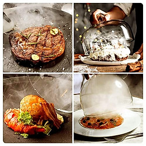 Smoking Gun Portable Cocktail Smoker with Wood Chips ,Handheld Food Kitchen Smoker Gun for Sous Vide,Meat,Salmon,Cocktails Drink,Cheese,BBQ,Perfect for Foodie Gifts