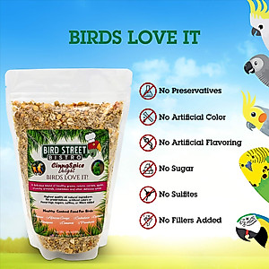 Bird Street Bistro Parrot Food Sample 4 Pack - Parakeet Food - Cockatiel Food - Bird Food - Cooks in 3-15 min w/Natural & Organic Grains - Healthy, Non-GMO Fruits, Healthy Orientated Spices