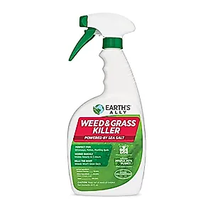 Earth's Ally Weed and Grass Killer | Safe, Pet-Friendly Natural Weed Control Spray for Patios, Driveways & Sidewalks, Ready-to-Use 24oz - Bee Safe, No Glyphosate Weed Killer