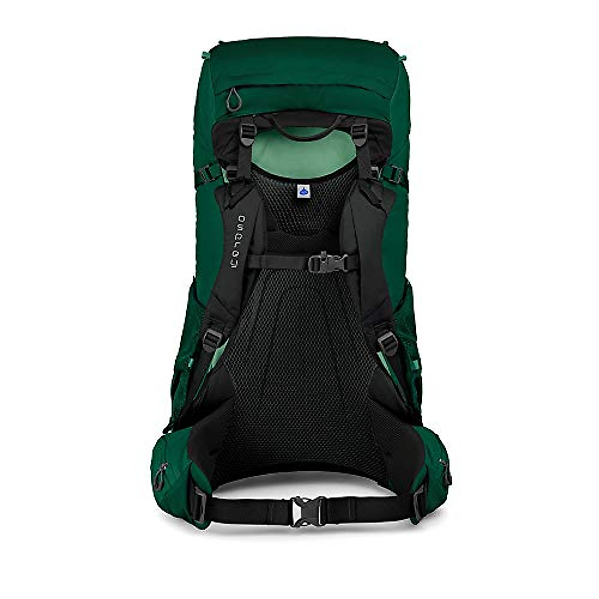 Osprey Rook 65L Men's Backpacking Backpack, Mallard Green, One Size