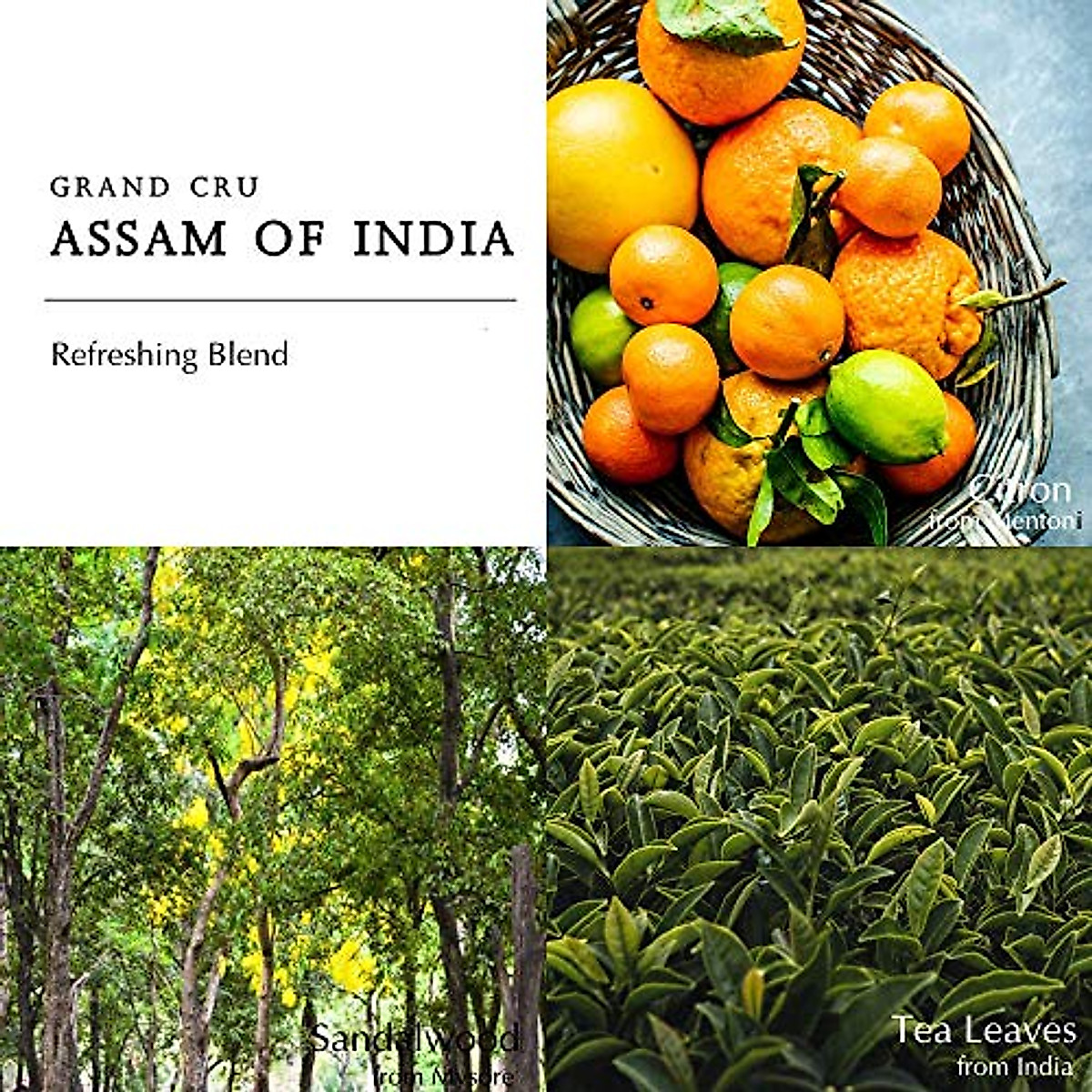 Berdoues Eau de Parfum Spray - Assam Of India, 0.34 oz