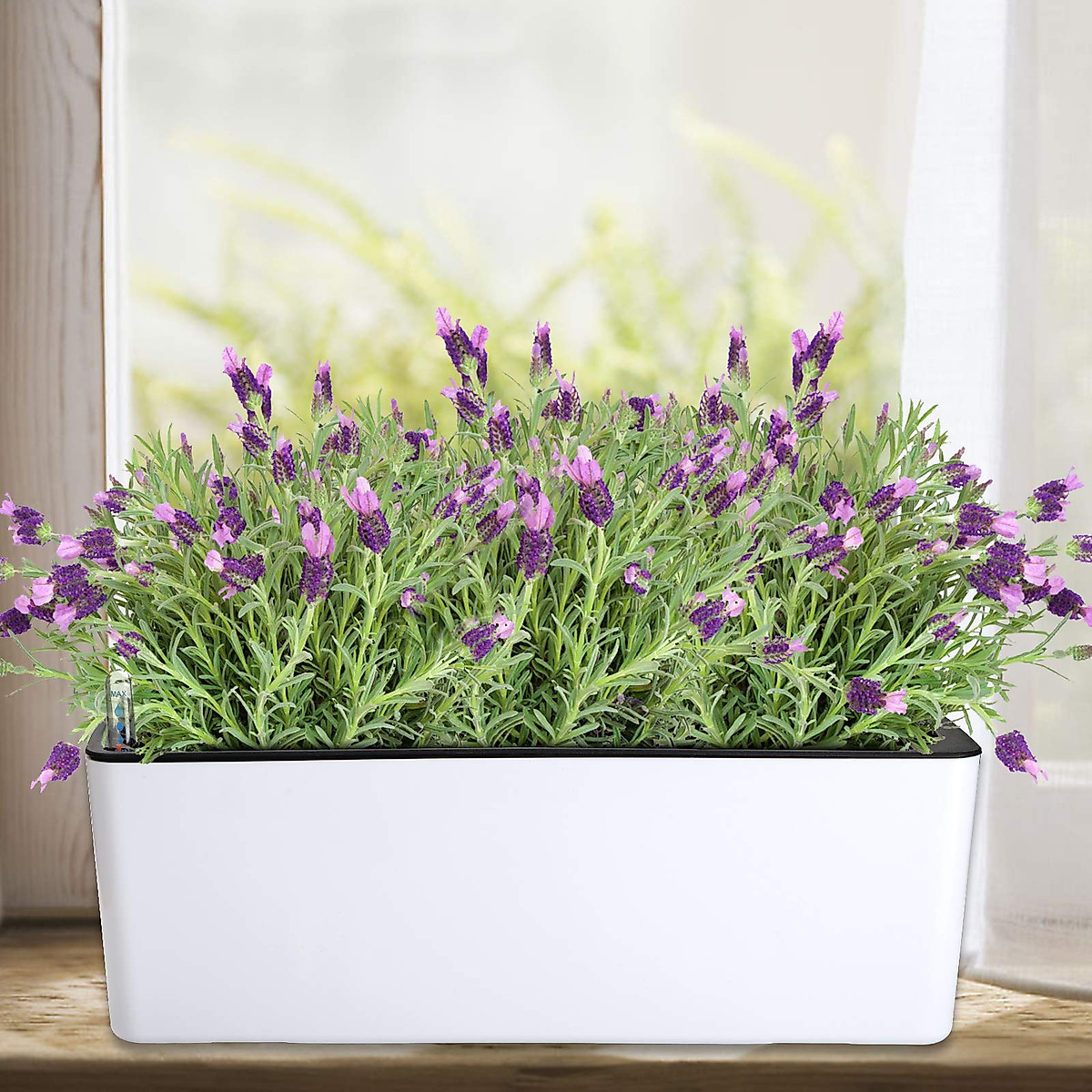 Fasmov 2 Pack Rectangle Self Watering Planter with Water Level Indicator, 16x 5.5 Inch Window Gardening Box, Decorative Planter Pot for All House Plants Flowers Herbs, Decorative Planter Pot