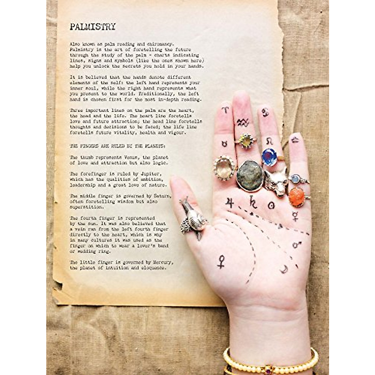 The Magpie and the Wardrobe: A Curiosity of Folklore, Magic and Spells