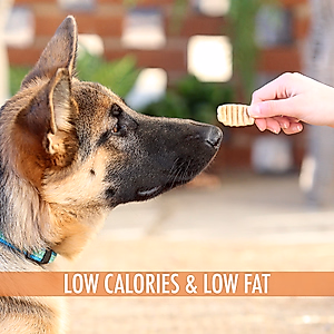 Wild Eats Sweet Potato Treats for Dogs – 12 oz. (Great Low Calorie, Low Fat Alternative to Traditional Dog Biscuits, Dog Cookies, and Dog Bones) Healthy Dog Treats Perfect Training Treats for Dogs