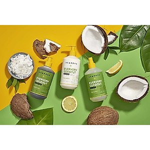 Alaffia EveryDay Coconut Shampoo and Conditioner - For Normal to Dry Hair, Cleanses, Hydrates and Moisturizes with Shea Butter & Ginger, Coconut Lime, 32 Fl Oz Each