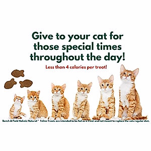 Bench & Field Holistic Natural Healthy Kitty Cat Treats | Crunchy Fish-Shaped Bites | Delicious Seafood Flavored Snack, 3-Ounce (Pack of 3 Bottles)