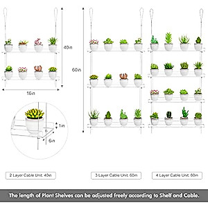 Clear Hanging Window Plant Shelves, Indoor Windows Wall Hanging Plant Stand Flower Display, Flower Pot Organizer Storage for Window Grow Herbs