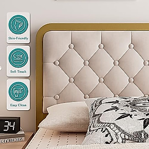 iPormis Queen Size Metal Bed Frame with Velvet Button Tufted Headboard, Curved Platform Bed Frame, Thicker Metal Steel Slats Support, 12'' Under-Bed Space, Noise-Free, Easy Assembly, Gold & Beige