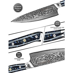 SANMUZUO Chef Knife - 8 inch - Xuan Series - VG10 Damascus Steel Kitchen Knife - Resin Handle (Starry Black)