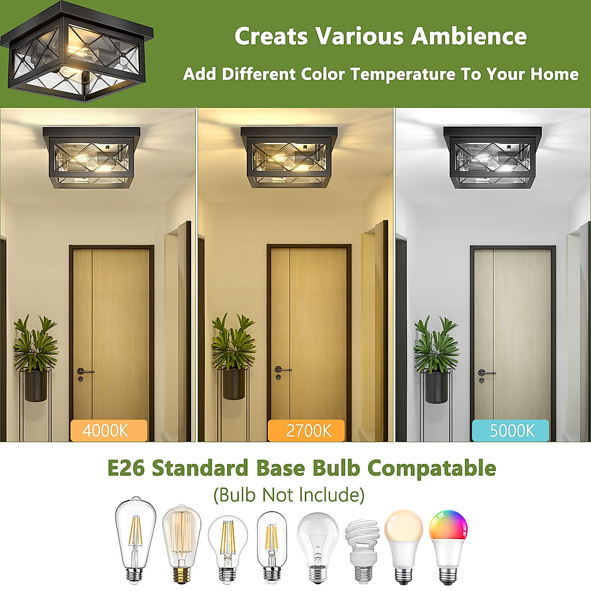 Asnxcju Farmhouse Light Fixtures Ceiling Mount, 2-Light Black Flush Mount Ceiling Light with Clear Glass Shade, Metal Cage Square Close to Ceiling Lamp for Bathroom Kitchen Porch (Bulbs Not Included)