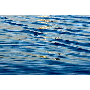 Posterazzi PDDAF05KSU0007 Water Ripples, Chobe National Park. North-West District, Botswana Photo Print, 18 x 24, Multi