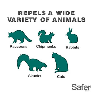 Safer 5929 Critter Ridder Animal Repellent Granules - Repels Raccoons, Skunks, Dogs, Cats, Chipmunks, Squirrels & Groundhogs - OMRI Listed for Organic Use - Protects up to 300 Sq Ft