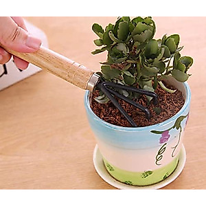 TPELKY Mini Garden Tools Set of 3 Mini Garden Tools Spade/Rake/Spade set of gardening tools