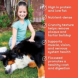 Pupford Crunchies, Premium Treat for Dogs & Puppies (Chicken & Sweet Potato, 5 oz)