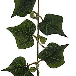 Ashland Michaels Assorted 6ft. Mini Ivy Garland