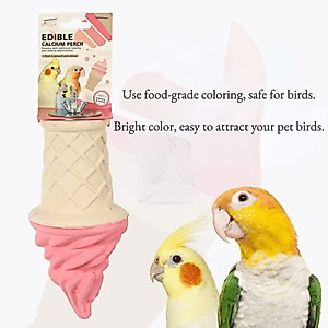Bird Toy, Parrot Cage Chewing Toys, Parrot Perch Stand, Ice Cream Shape Totoro Squirrel Hamster Calcium Teeth Mouth Molar Grinding Stone Parrot Beak Stone Stand Platform (Small)