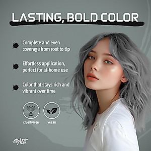 Splat Winter Gray Semi Permanent Hair Dye Kit with Bleach, 1 Application, Includes Gray Hair Dye, Oxide & Bleach Powder, Vegan & Cruelty Free Hair Color