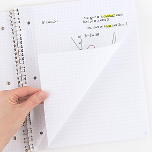 Five Star Insertable Loose Leaf Paper, 1 Pack, 3 Hole Punched, Reinforced Filler Paper, Graph Ruled Paper to Add and Rearrange Pages in Spiral Notebook, 11-1/2" x 8", 75 Sheets/Pack (17018)