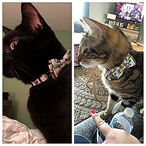 ADOGGYGO Cat Collar Breakaway with Cute Bow Tie Bell - 2 Pack Kitten Collar with Removable Bowtie Sushi Donuts Hamburg Pizza Pattern Cat Bow tie Collar for Cat Kitten (Pizza & Sushi)