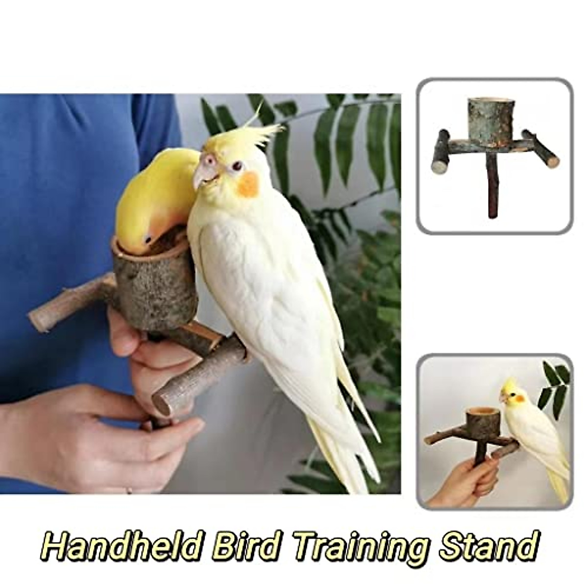 XLpeixin Bird Playground Parrot Playstand Birds Play Stand Wood Exercise Perch Gym Stand Hanging Swing Toys for Small Medium Parakeets Canaries Cockatiels Lovebirds and More…