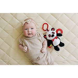 Genius Baby Toys Panda Soft Sensory Toy with Teething Ring for Baby, Attaches to Stroller, 8"