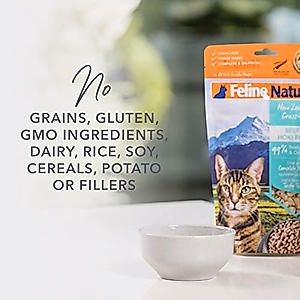 Feline Natural Grain-Free Freeze Dried Cat Food, Chicken & Lamb 11oz
