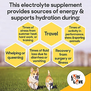 HydrADE Powder - Electrolytes for Dog & Cat Dehydration - Hydration for Dogs & Cats - Lots of Love Pet Products (8 Oz)