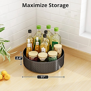 Beacron Lazy Susan, Premium Stainless Steel Lazy Susan Organizer, 11 inches Round 360 Degree Rotating Lazy Susan Turntable for Cabinet with 1 Marker and 180 Spice Labels for Kitchen Pantry Countertop