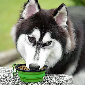 ARTECARE Portable Pet Travel Dog Bowls, 2 Pack Convenient Collapsible Dog Bowls, Small Pet Slow Feeder Design for Dogs Cats Feeding Watering with 2 carabiners