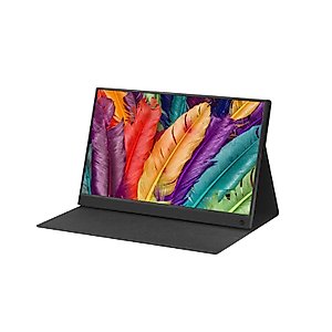 DFZ Portable Monitor, 15.6in IPS 1920X1080 Computer Display,Display Game Console Computer for Laptop