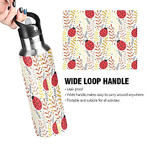xigua Ladybug Water Bottle Double Walled Stainless Steel Leak Proof Thermo Flask for Sports Gym Cycling Outdoor,20 oz.