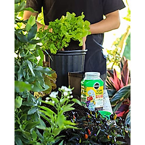 453g Shake n Feed All Purpose Plant Fertilizer