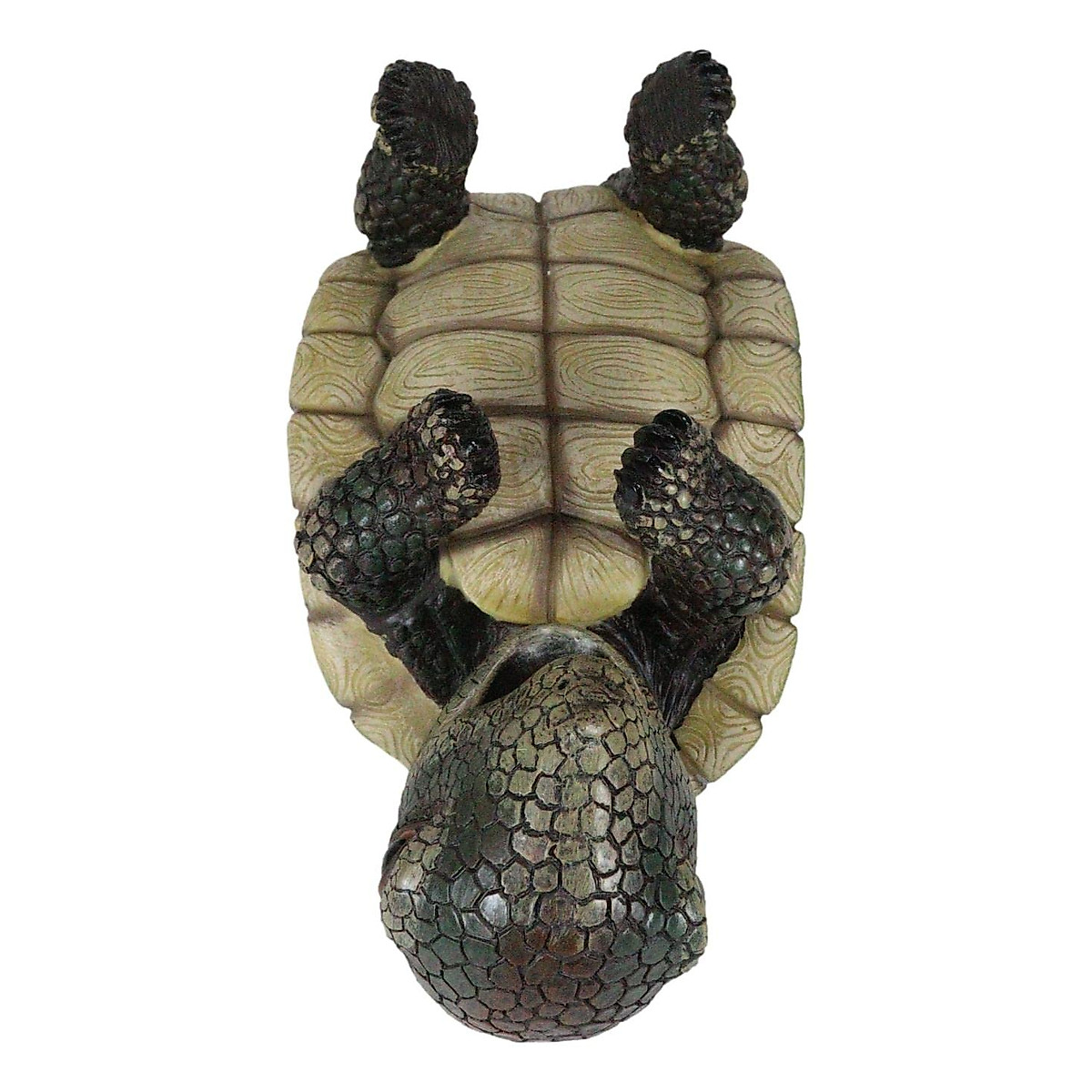 Ebros Gift Drunken Coastal Sea Turtle Tortoise Wine Bottle Holder Caddy Figurine As Home Kitchen Wine Cellar Decorative Storage Organizer Wild Aquatic Animals Turtles Terrapins Tortoises Decor